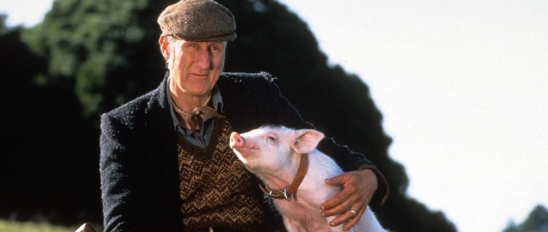 Events | Picturedrome - Bognor Regis